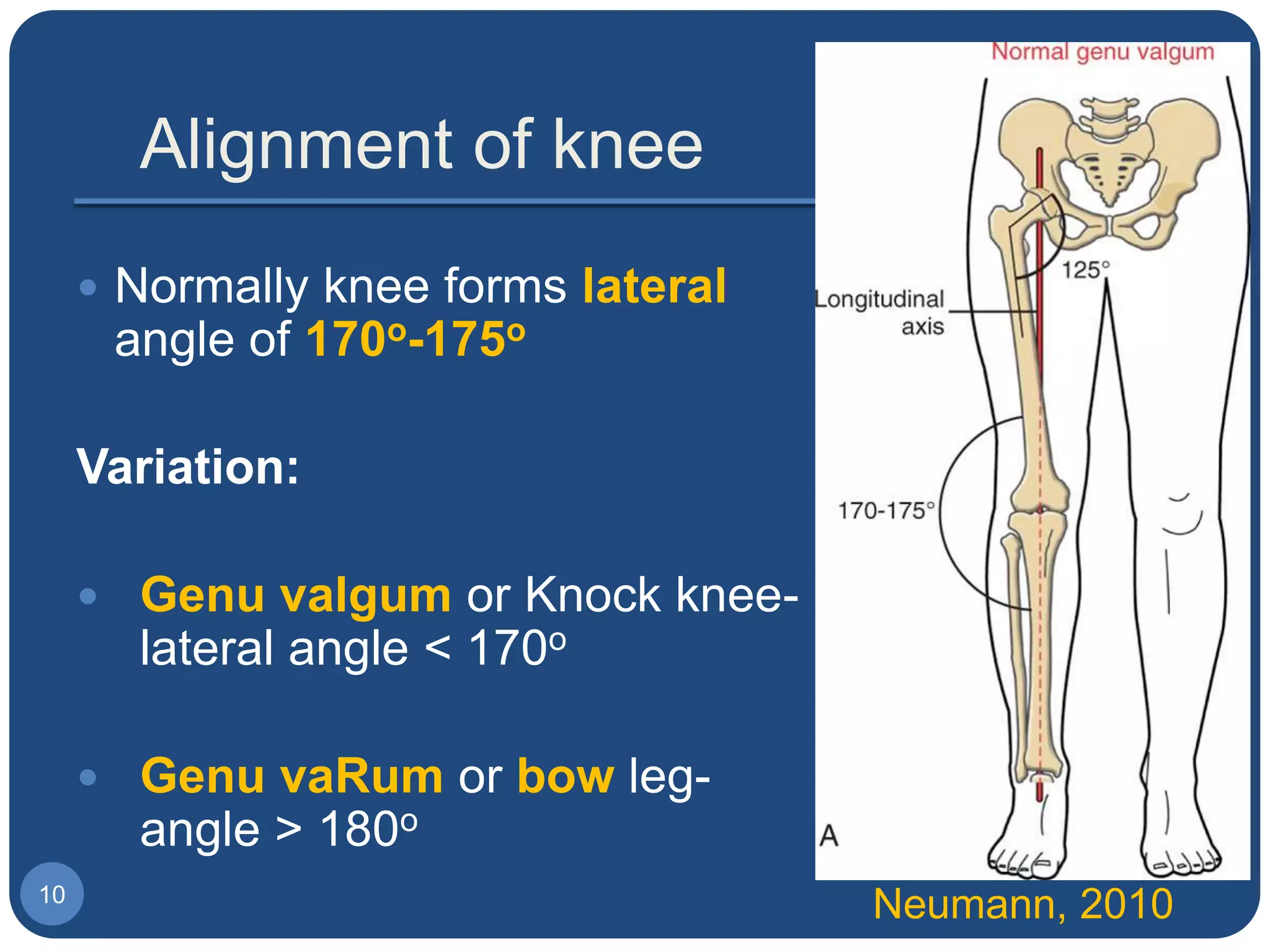 1. biomechanics of the knee joint basics | PPTX