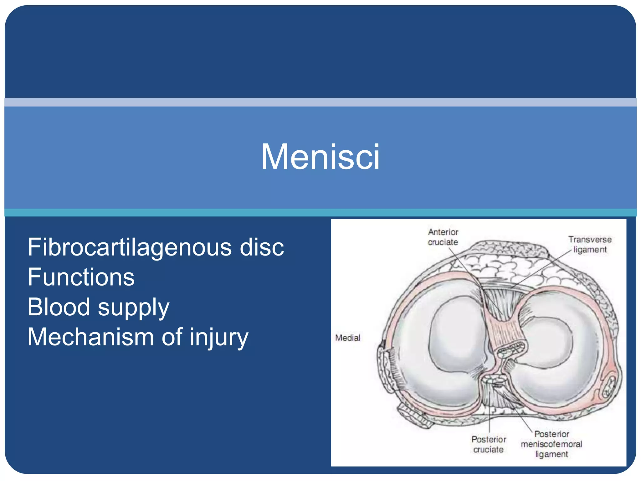1. biomechanics of the knee joint basics | PPTX