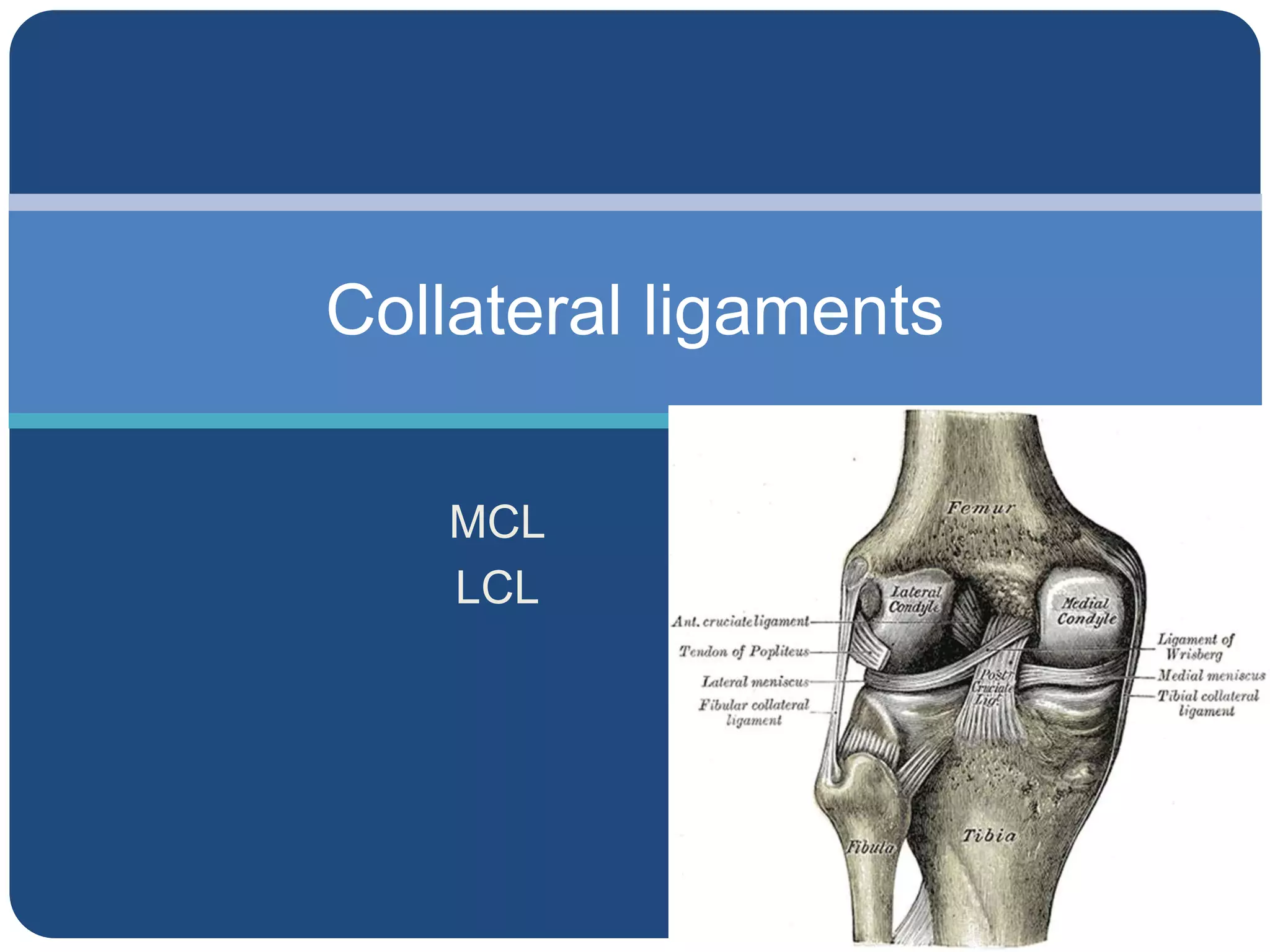 1. biomechanics of the knee joint basics | PPTX