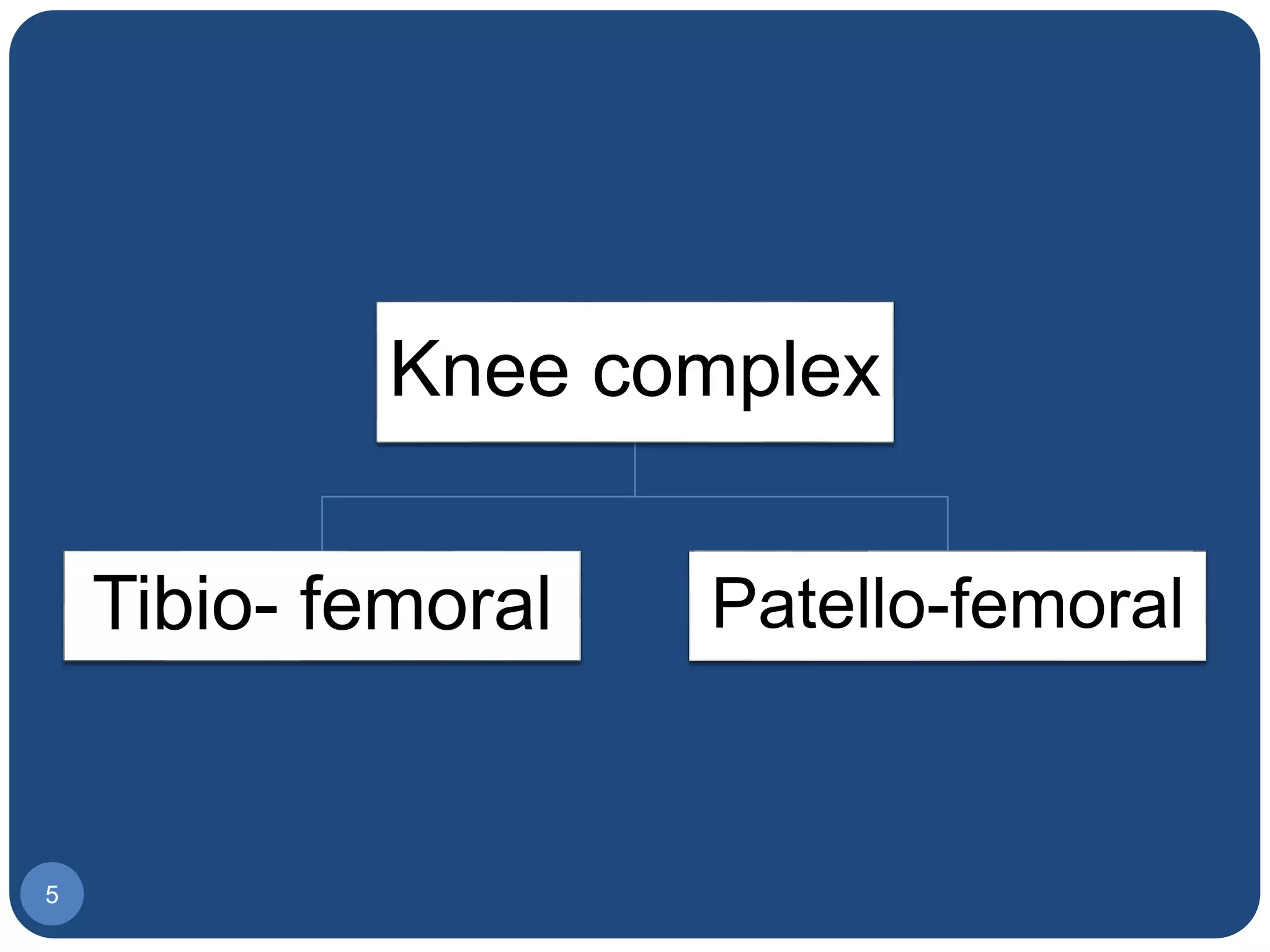 1. biomechanics of the knee joint basics | PPTX