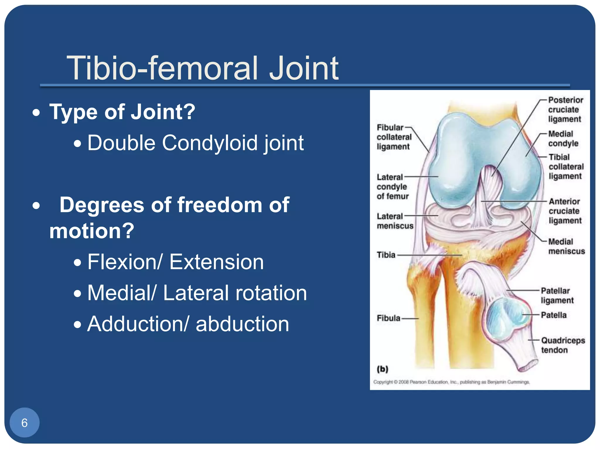 1. biomechanics of the knee joint basics | PPTX