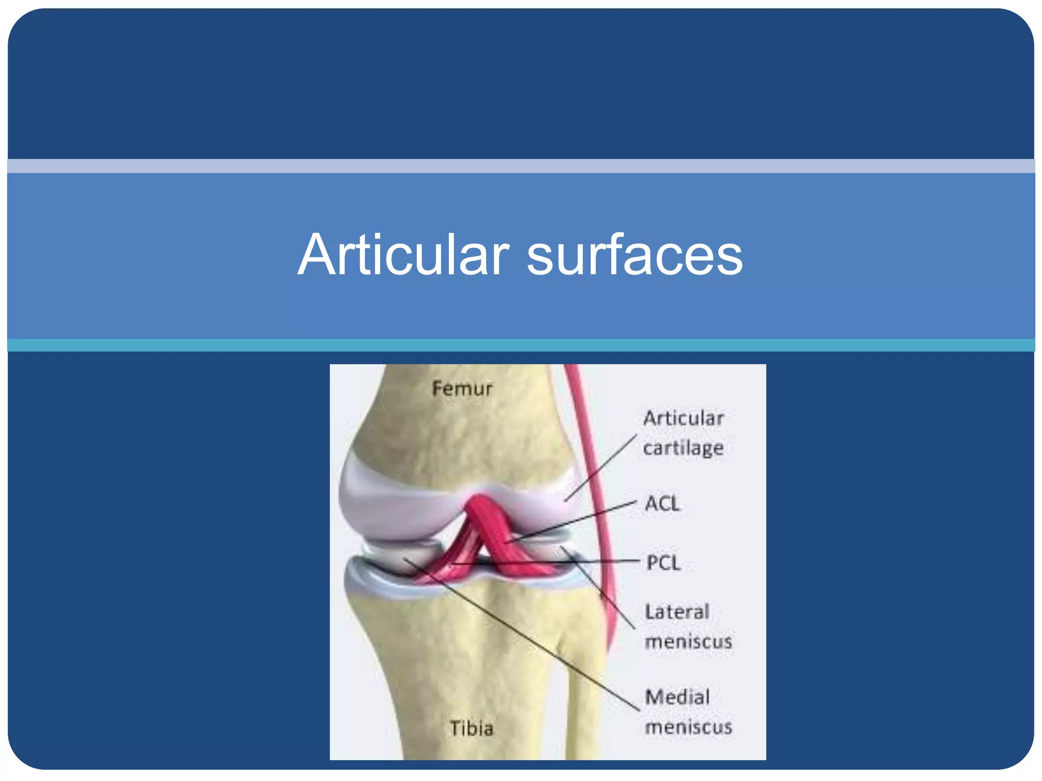 1. biomechanics of the knee joint basics | PPTX