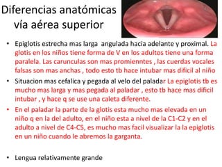 1. aparato respiratorio del niño degraba | PPTX