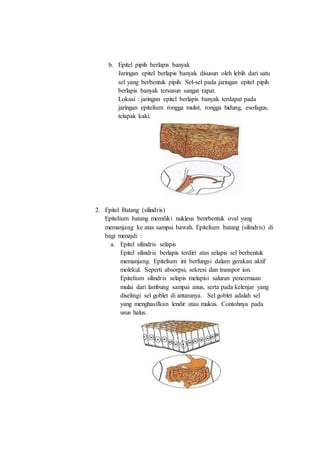 Jaringan Epitel | PDF