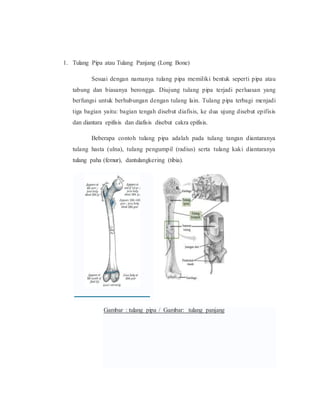 1. jenis tulang | DOCX