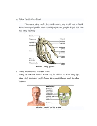 1. jenis tulang | DOCX