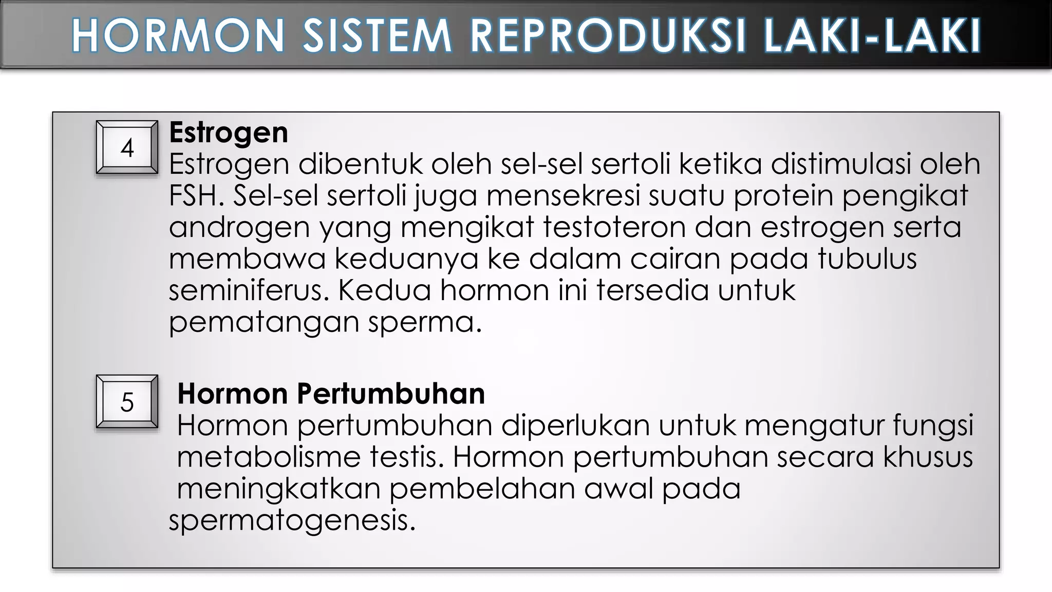 Hormon Reproduksi pada Pria | PPTX