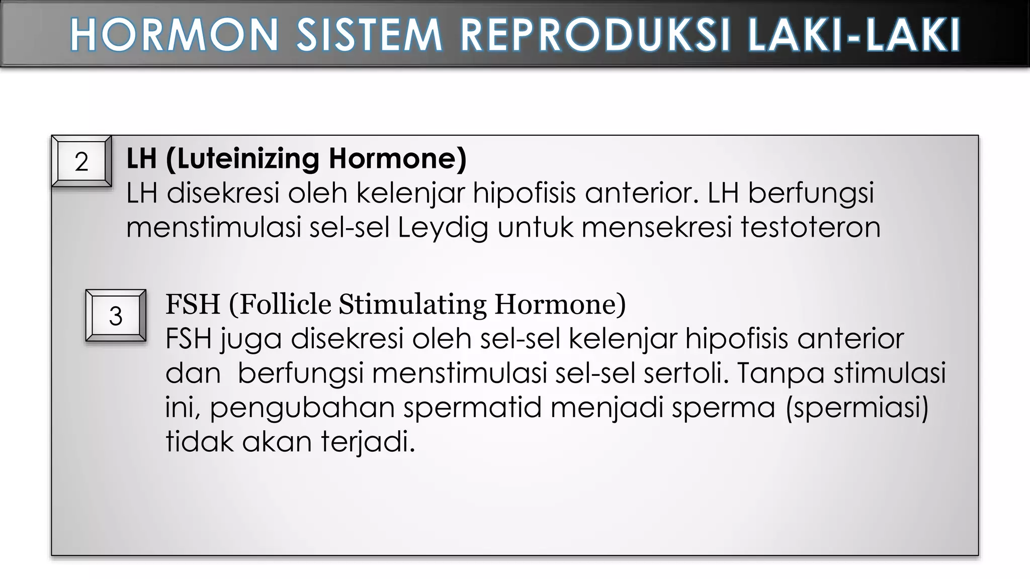 Hormon Reproduksi pada Pria | PPTX