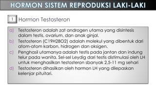Hormon Reproduksi pada Pria | PPTX