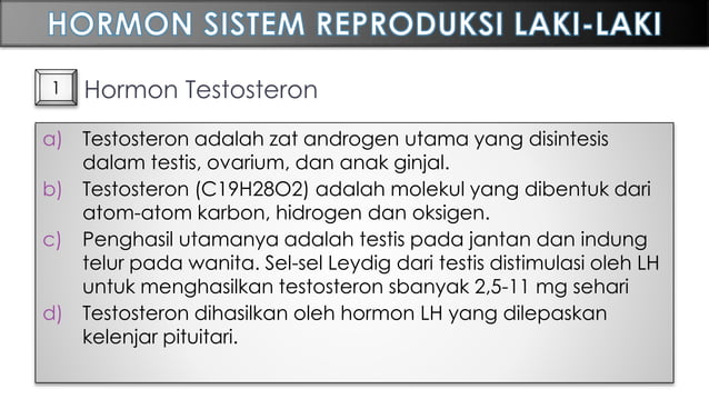 Hormon Reproduksi pada Pria | PPTX