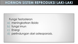 Hormon Reproduksi pada Pria | PPTX