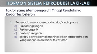 Hormon Reproduksi pada Pria | PPTX