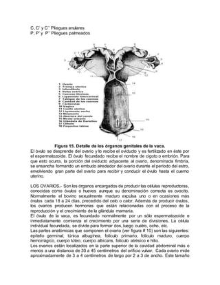 1.anatomia y fisiologia.doc