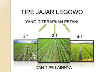 1. jajar legowo untuk mendukung pajale | PPTX