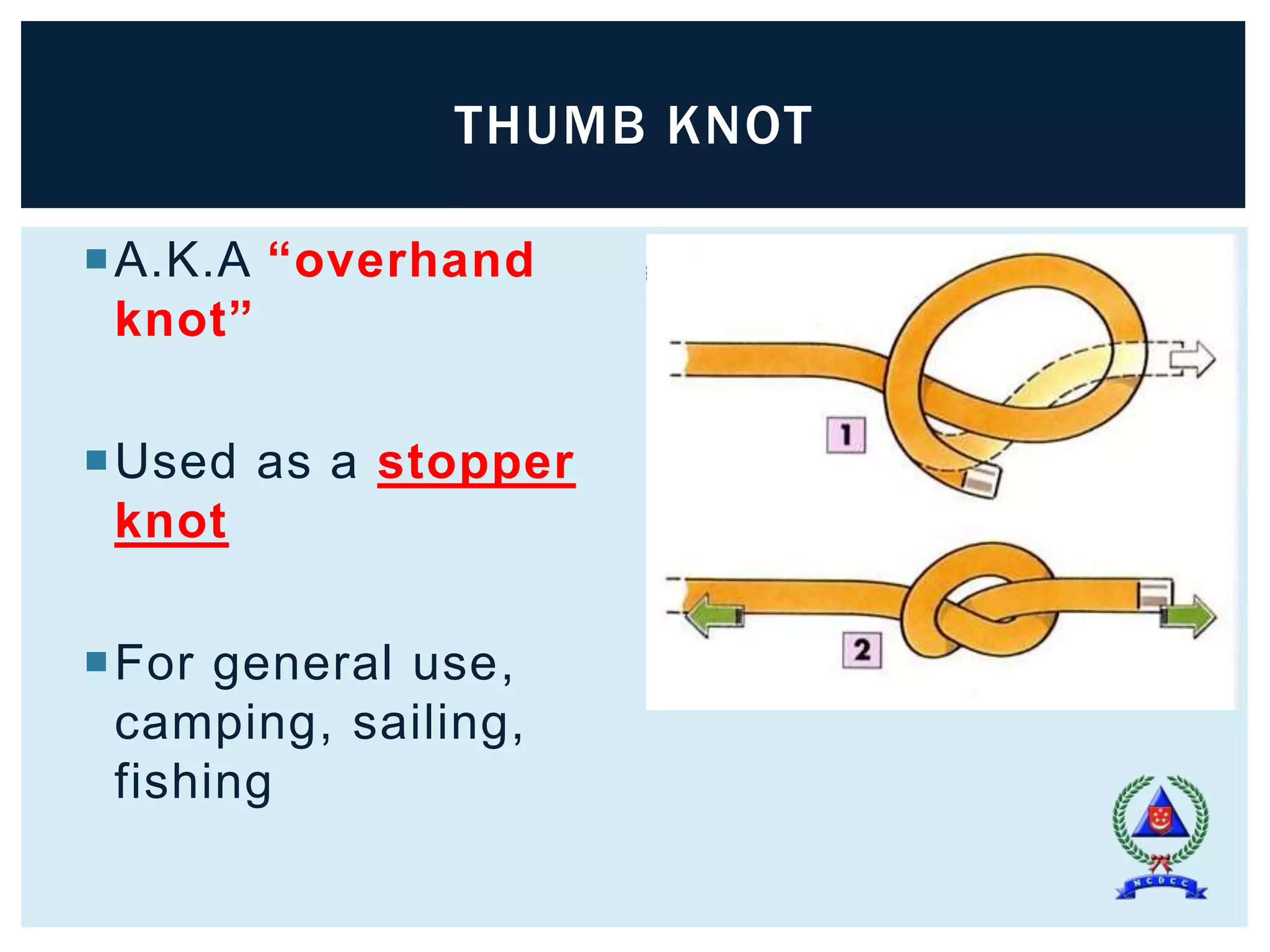 1.2.1 a knots | PPTX