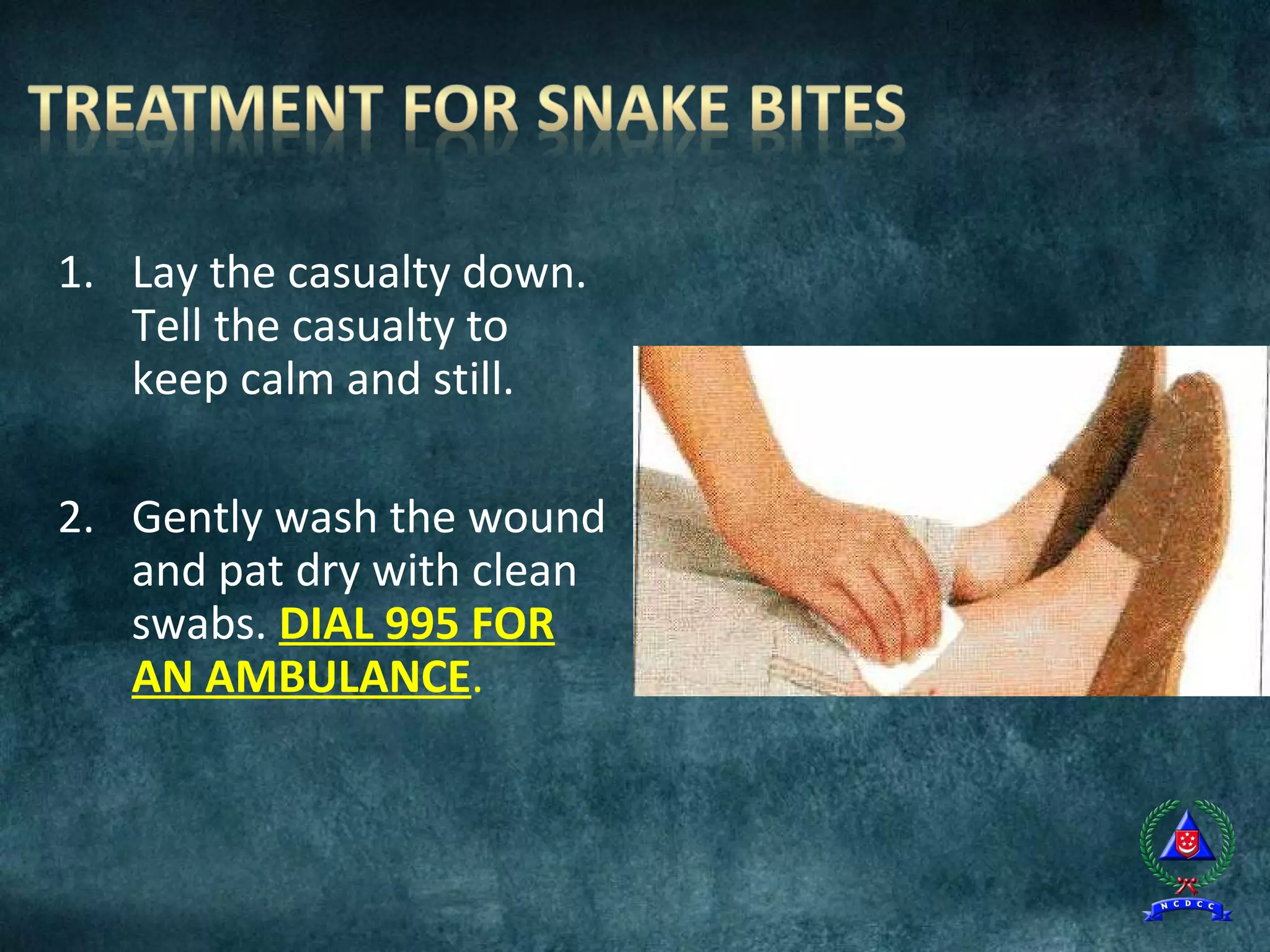 1.3.4 bites & stings | PPT