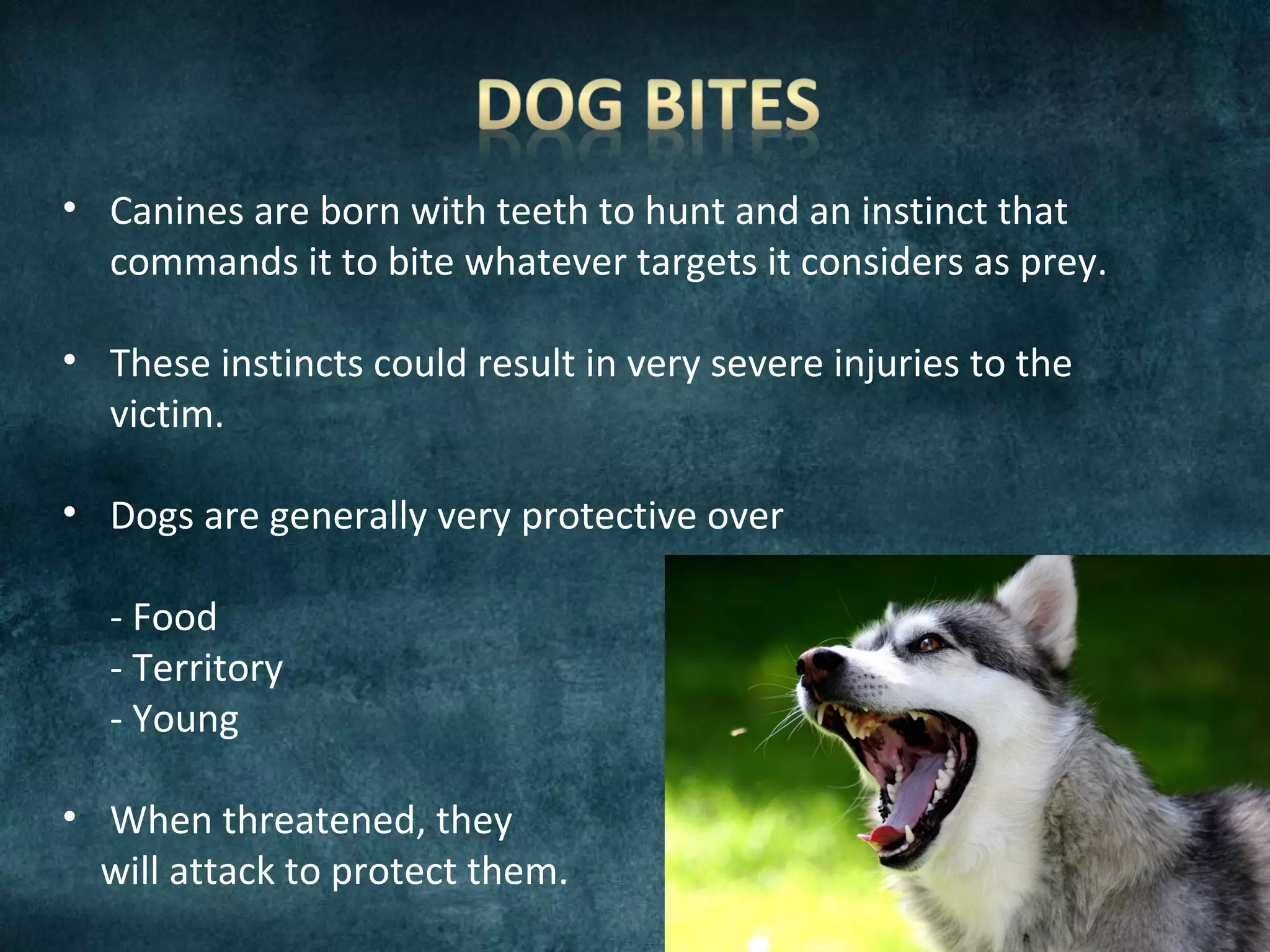 1.3.4 bites & stings | PPT