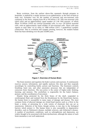 Disordered Brain Modeling Using Artificial Network SOFM | PDF