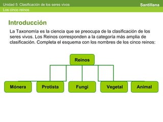 1.los reinos | PPT | Biological Sciences | Science