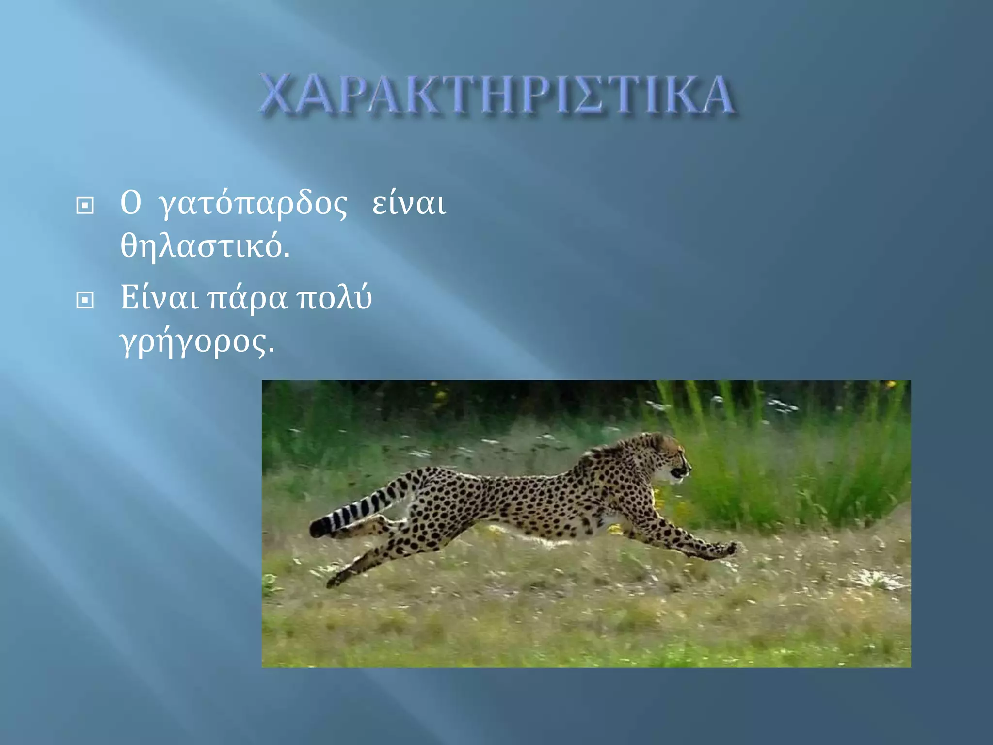ΓΑΤΟΠΑΡΔΟΣ | PPTX