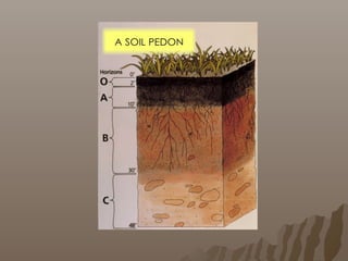 1.soil fundamental concepts By Allah Dad Khan | PPT