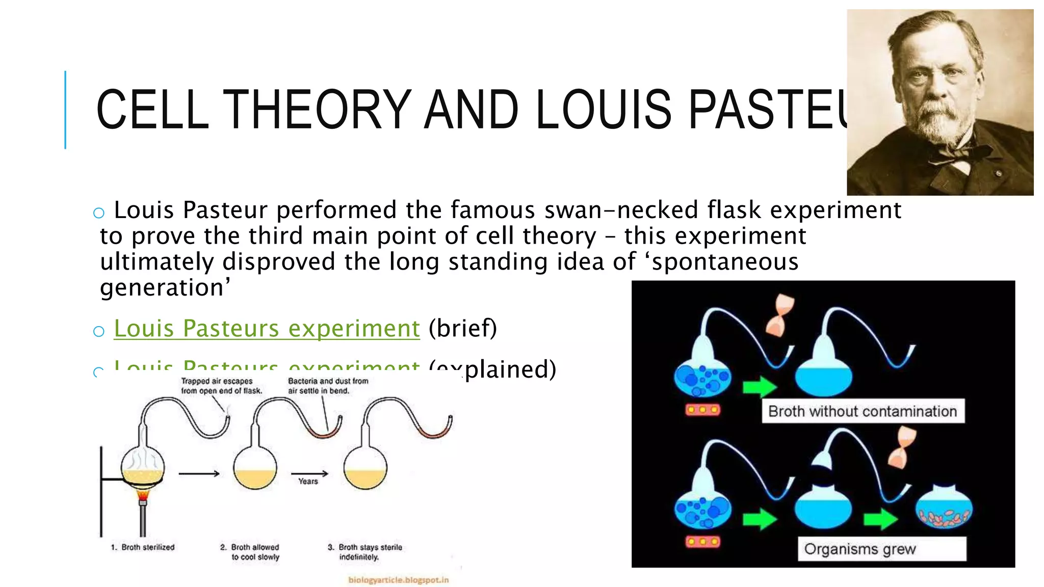1. cell theory | PPTX