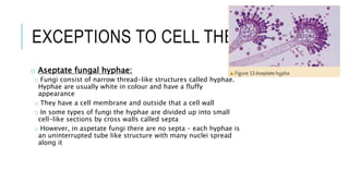 1. cell theory | PPTX