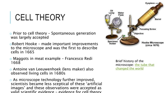 1. cell theory | PPT