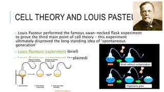 1. cell theory | PPTX