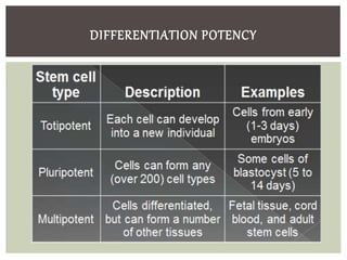 stem cells' techniques | PPTX