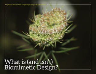 Intro to Biomimetic Design | PDF