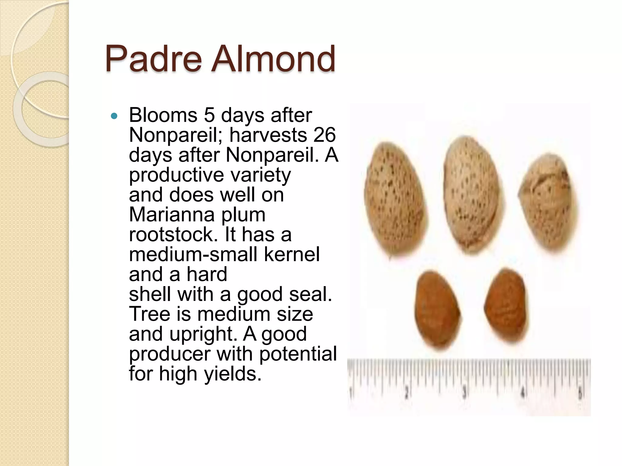 1.almond varieties in the world by Allah Dad Khan | PPTX
