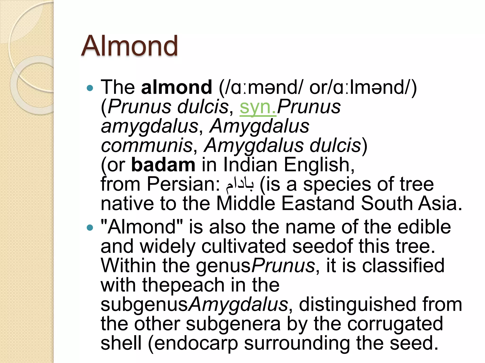 1.almond varieties in the world by Allah Dad Khan | PPTX