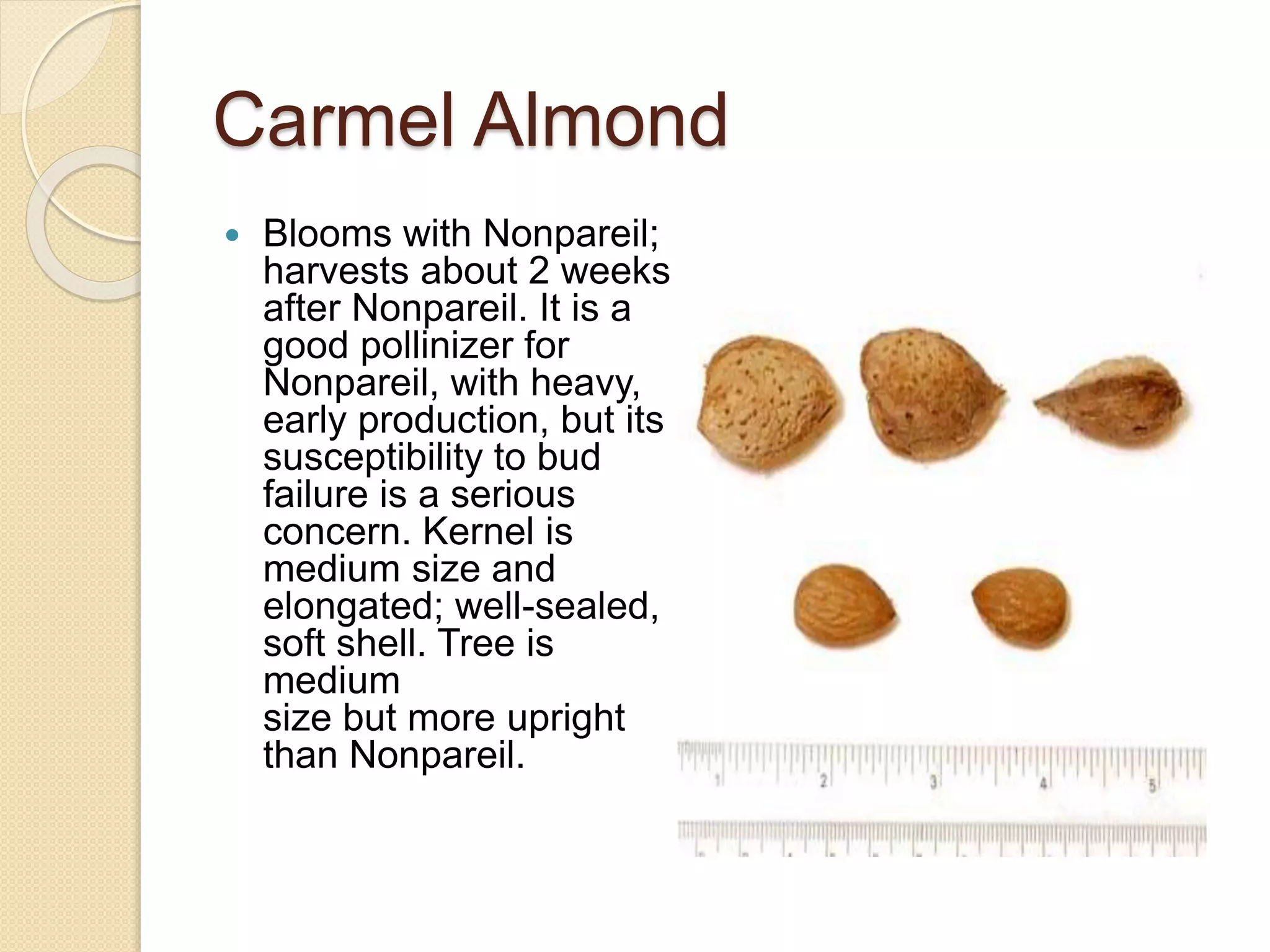 1.almond varieties in the world by Allah Dad Khan | PPTX