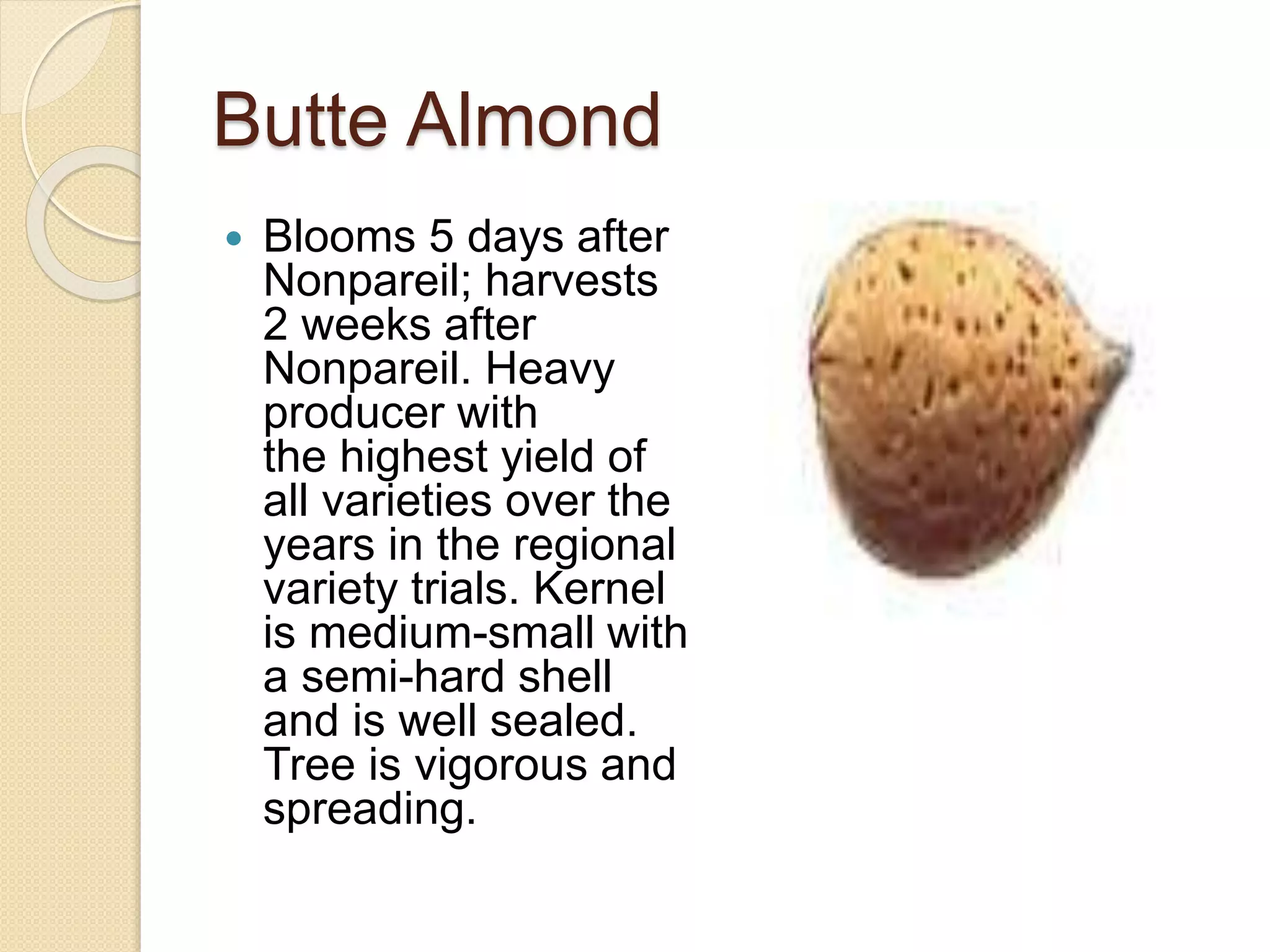 1.almond varieties in the world by Allah Dad Khan | PPTX