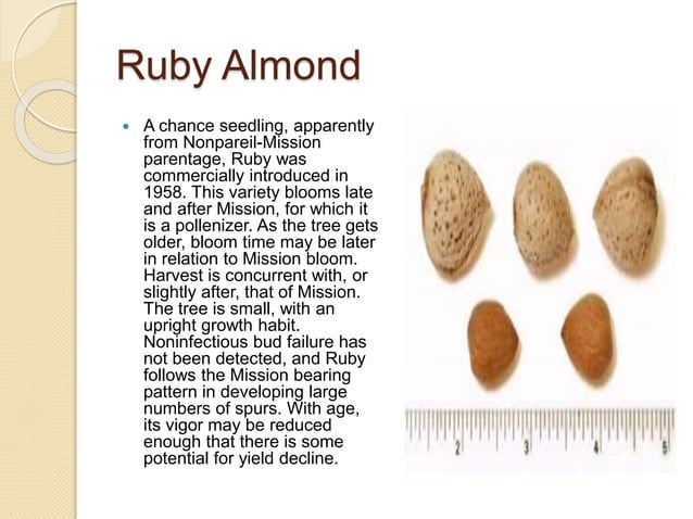 1.almond varieties in the world by Allah Dad Khan | PPTX