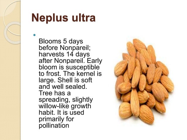 1.almond varieties in the world by Allah Dad Khan | PPTX