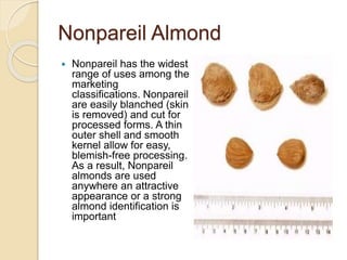 1.almond varieties in the world by Allah Dad Khan | PPTX