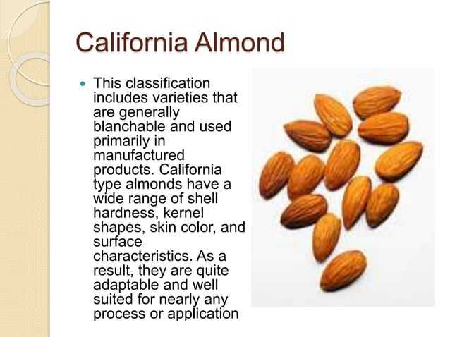 1.almond varieties in the world by Allah Dad Khan | PPT