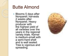 1.almond varieties in the world by Allah Dad Khan | PPTX