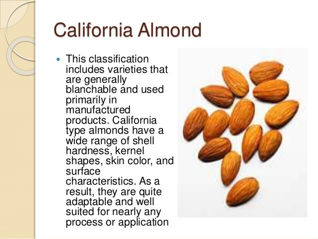 1.almond varieties in the world by Allah Dad Khan
