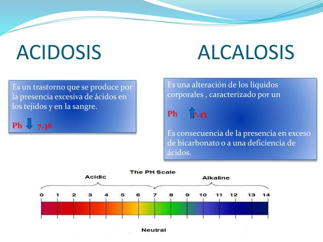 ácidosis y alcalosis basica, sencilla. | PPTX | Lung and Respiratory ...