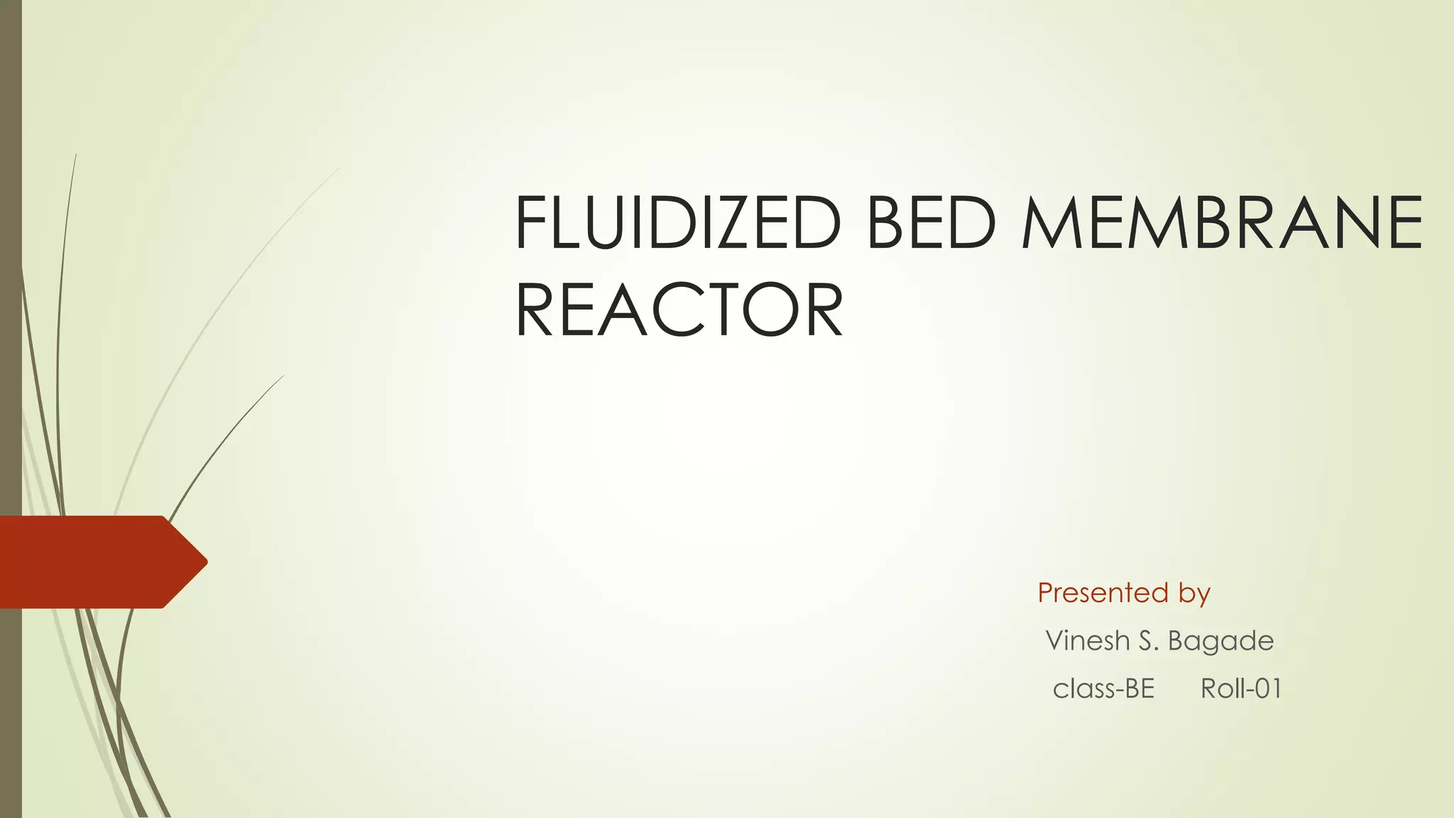 fluidized bed membrane reactors | PPTX