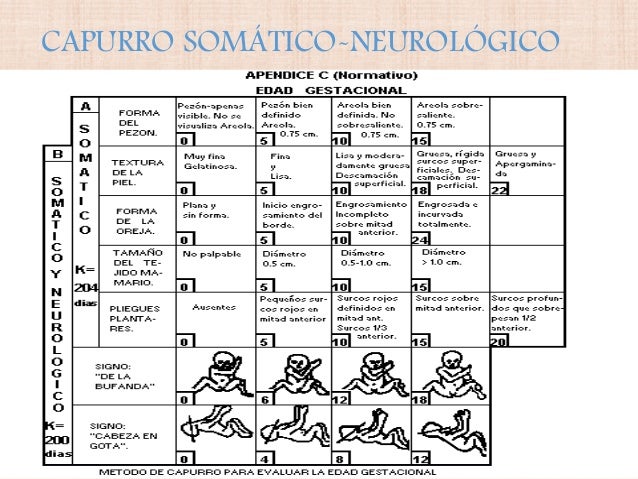 1.anamnese, exame físico e classificações do rn