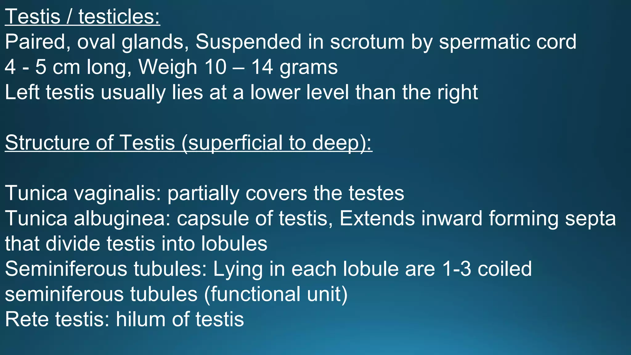 ANATOMY OF INGUINO-SCROTAL REGION | PPT