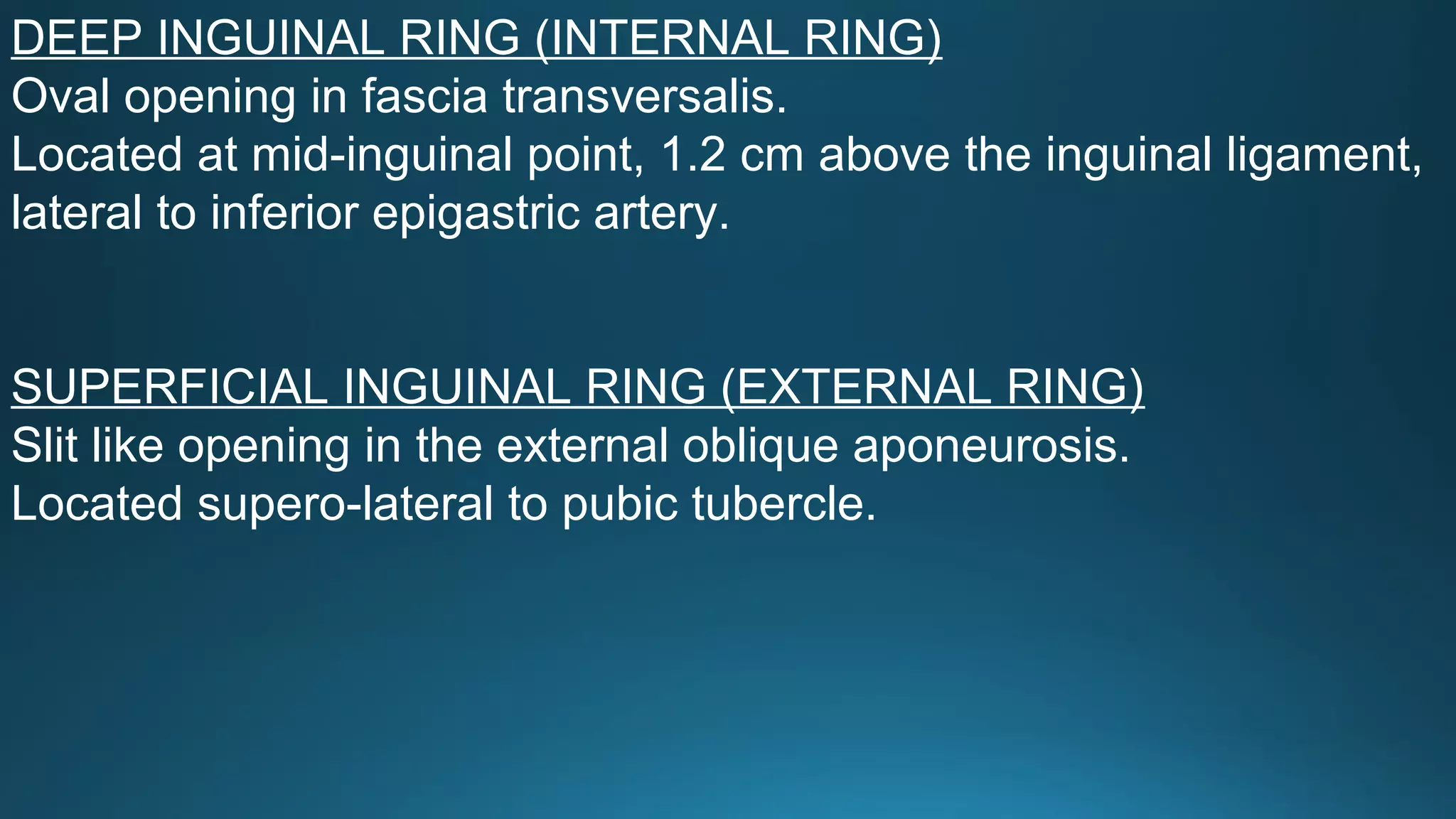 ANATOMY OF INGUINO-SCROTAL REGION | PPT