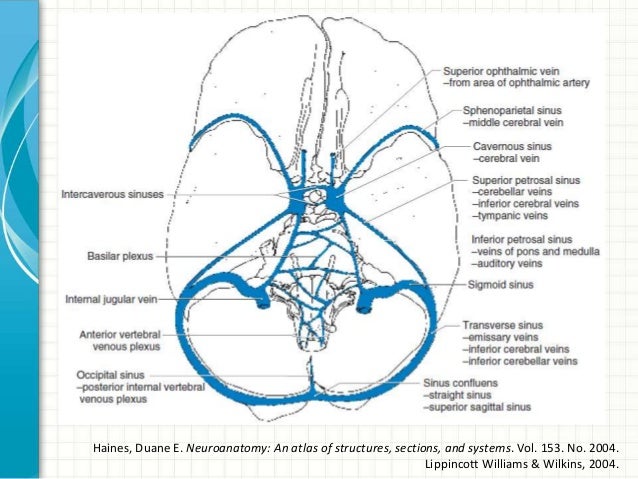 1. slides batson 2015 juanzambon