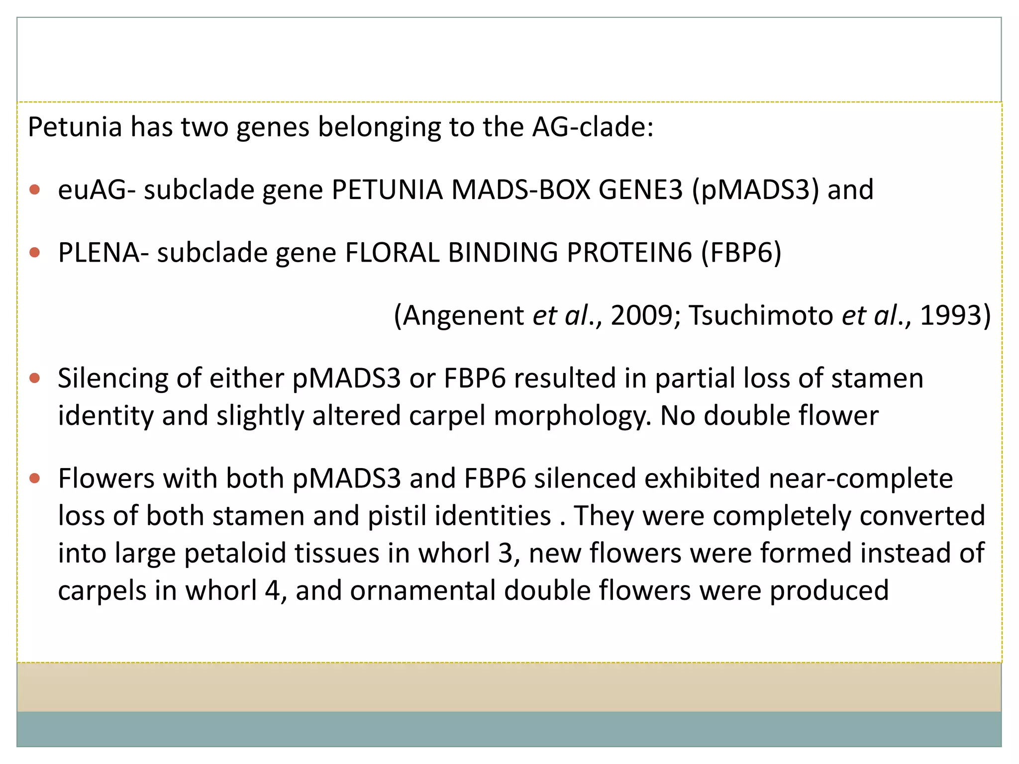 1. ABCDE flower model | PPTX