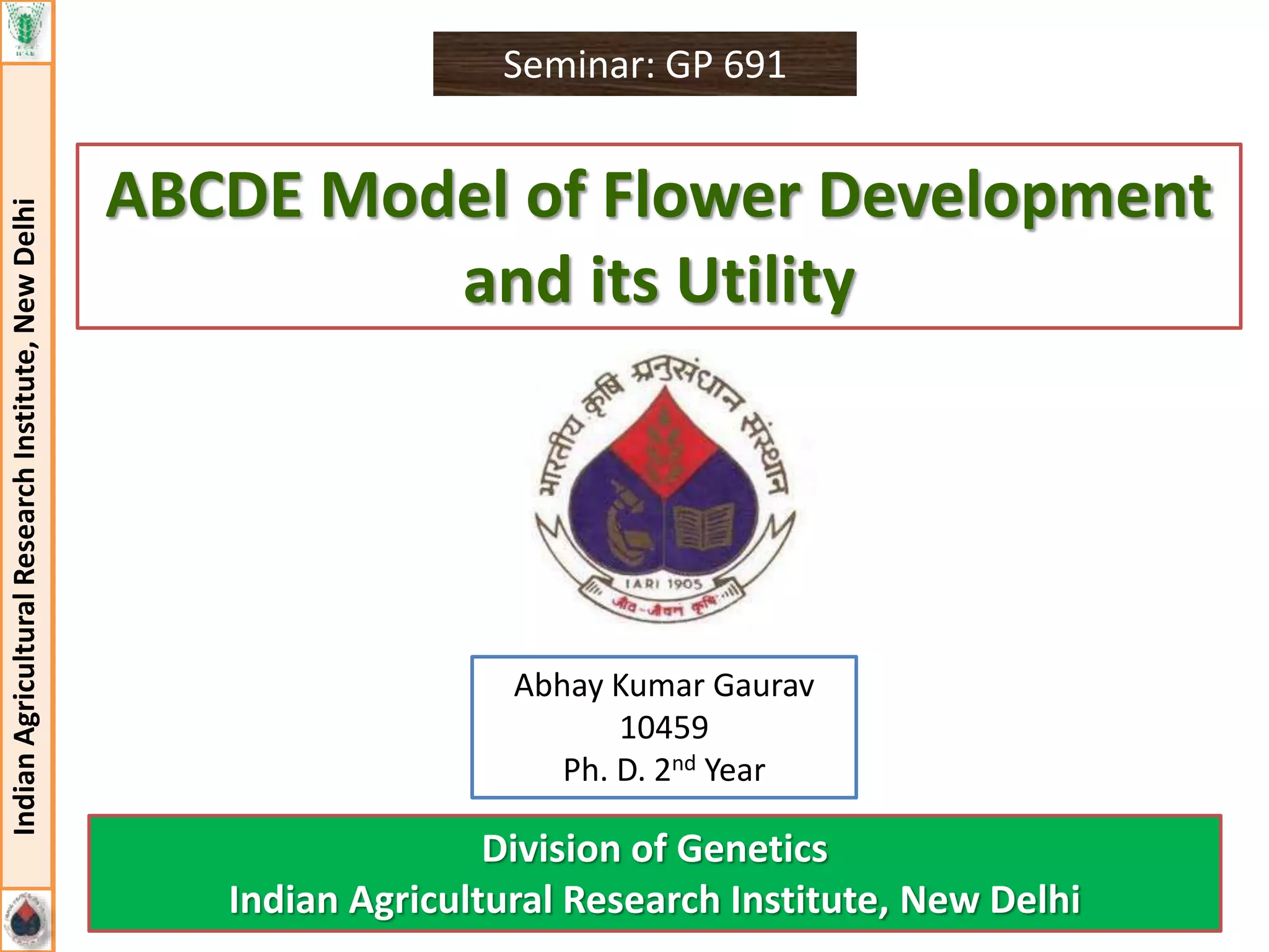 1. ABCDE flower model | PPTX