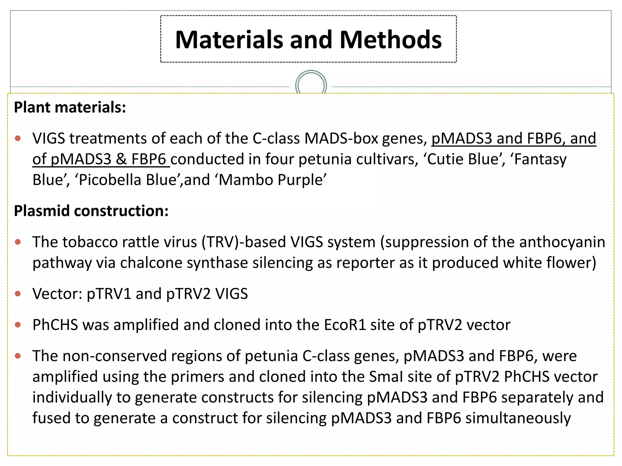 1. ABCDE flower model | PPTX